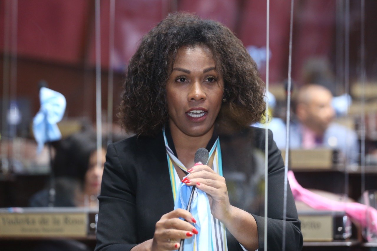 Diputada Fior Daliza Peguero renuncia del PRD y se declara ...